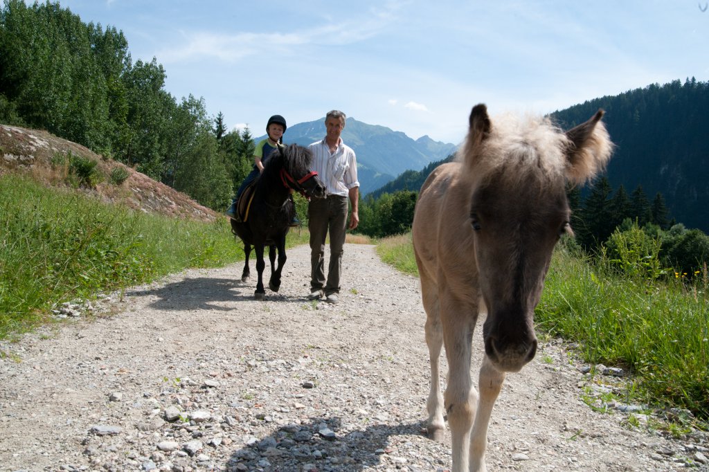 Reitstall Finkenberger Sattel | Reiten im Zillertal - BRUGGER ...